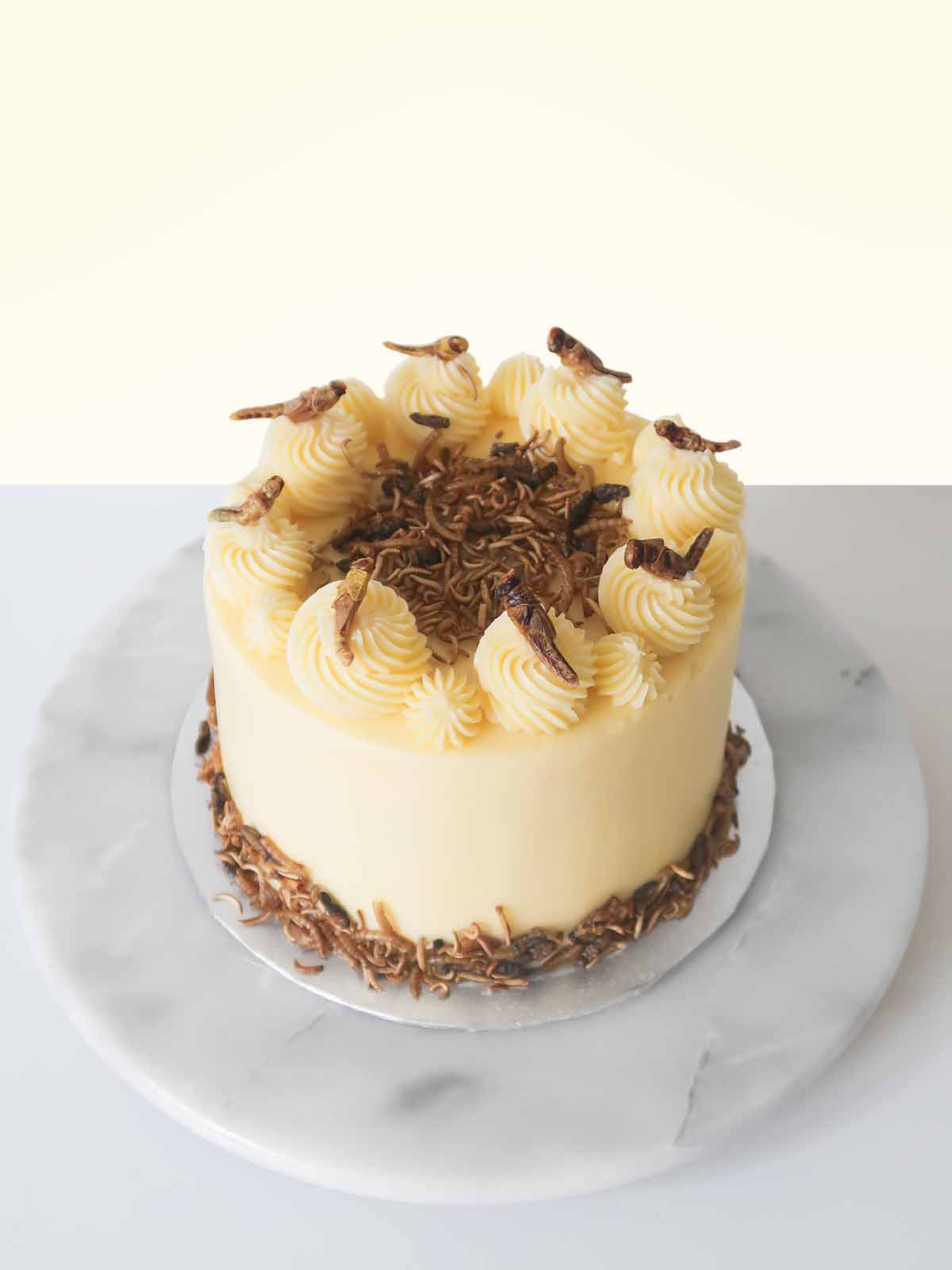 Insect Cake | Free Delivery | London & Surrey