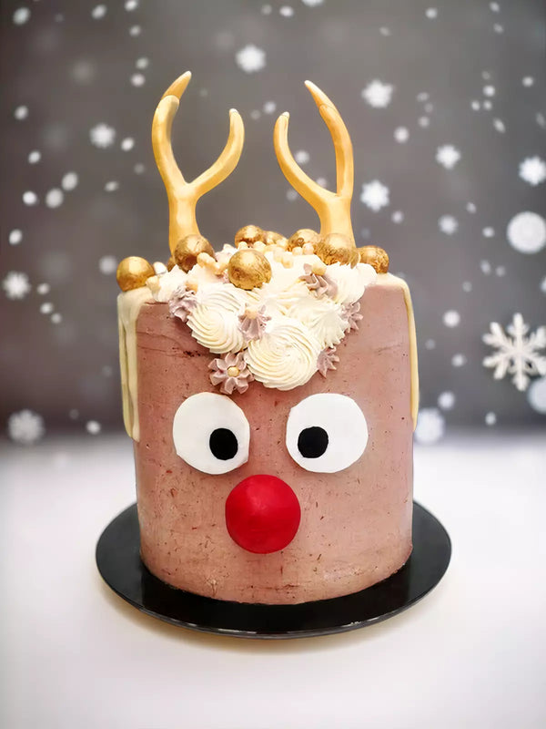Rudolf Christmas Cake | Free Delivery | London & Surrey