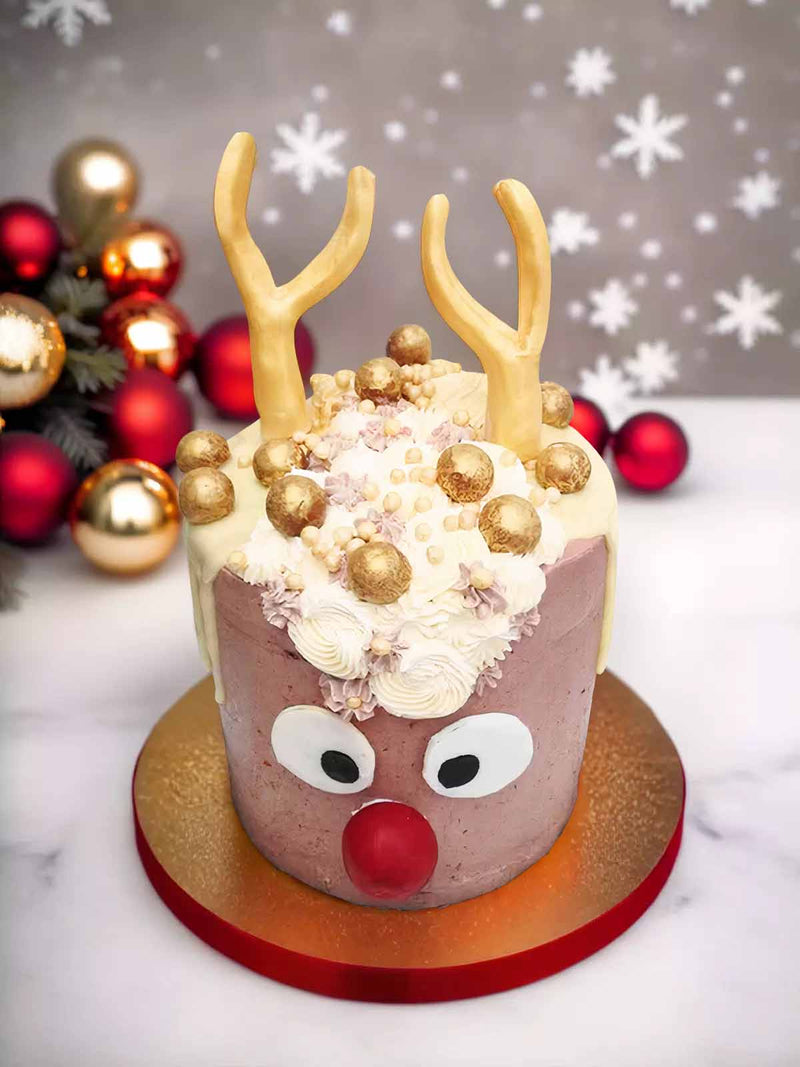 Rudolf Christmas Cake | Free Delivery | London & Surrey