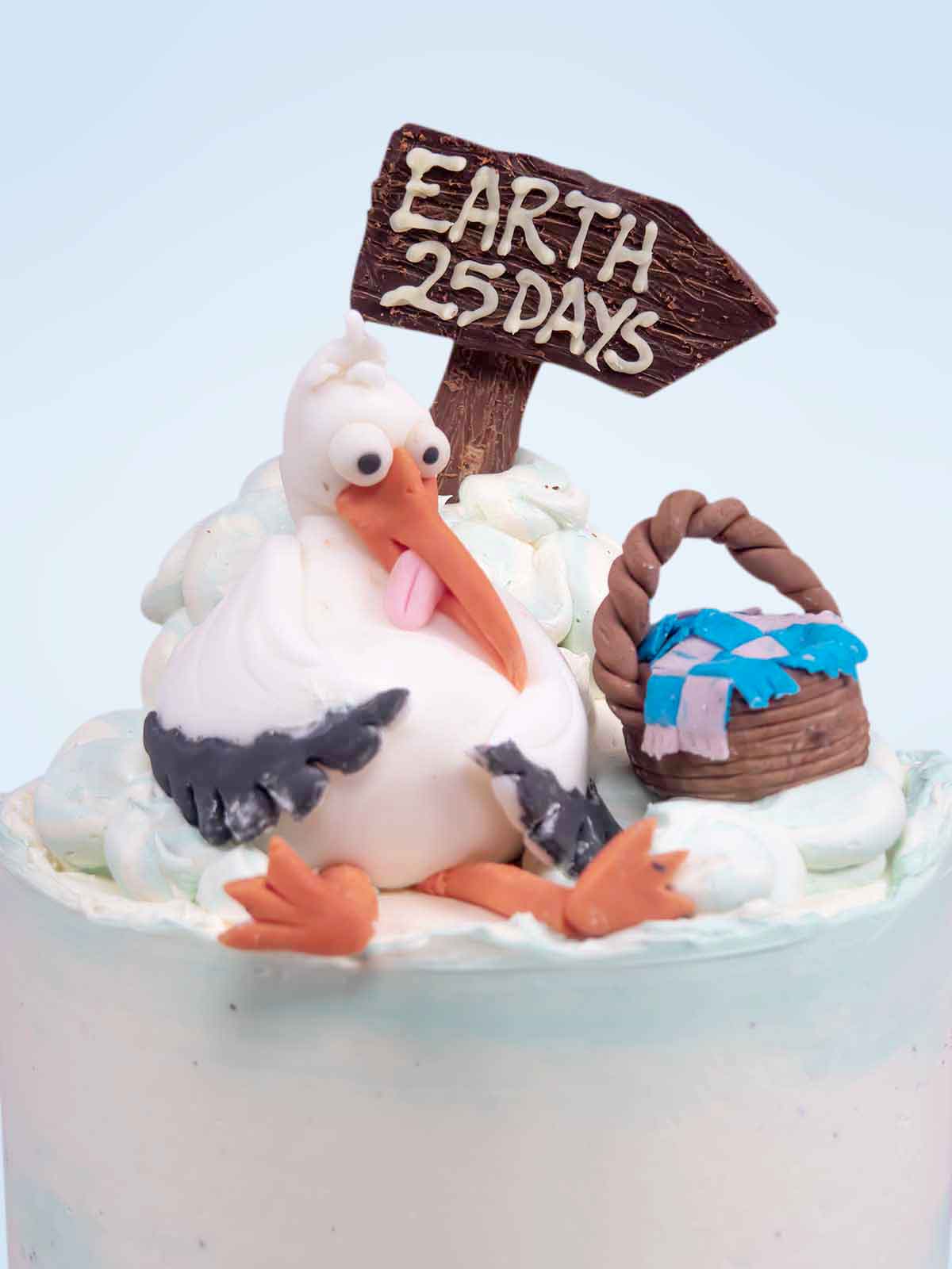 Stork Baby Shower Cake | Free Delivery | London & Surrey