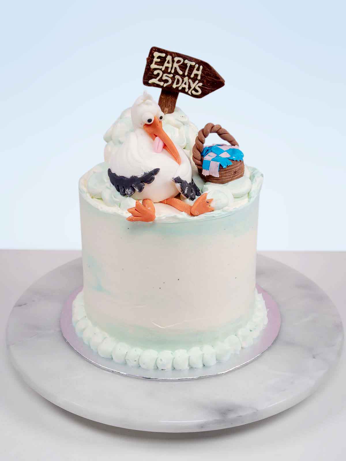 Stork Baby Shower Cake | Free Delivery | London & Surrey